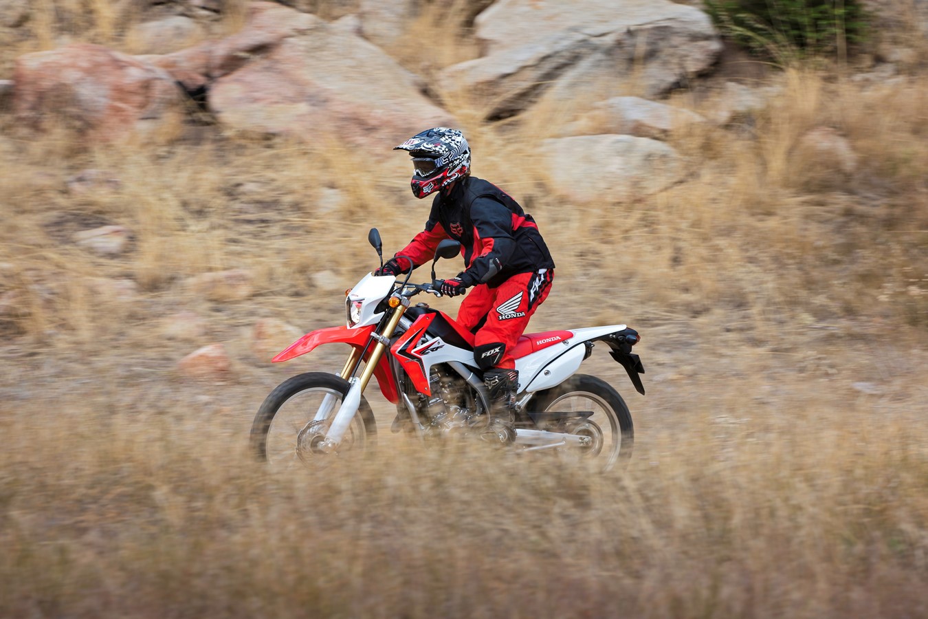 CRF 300 RALLY - Honda Moto