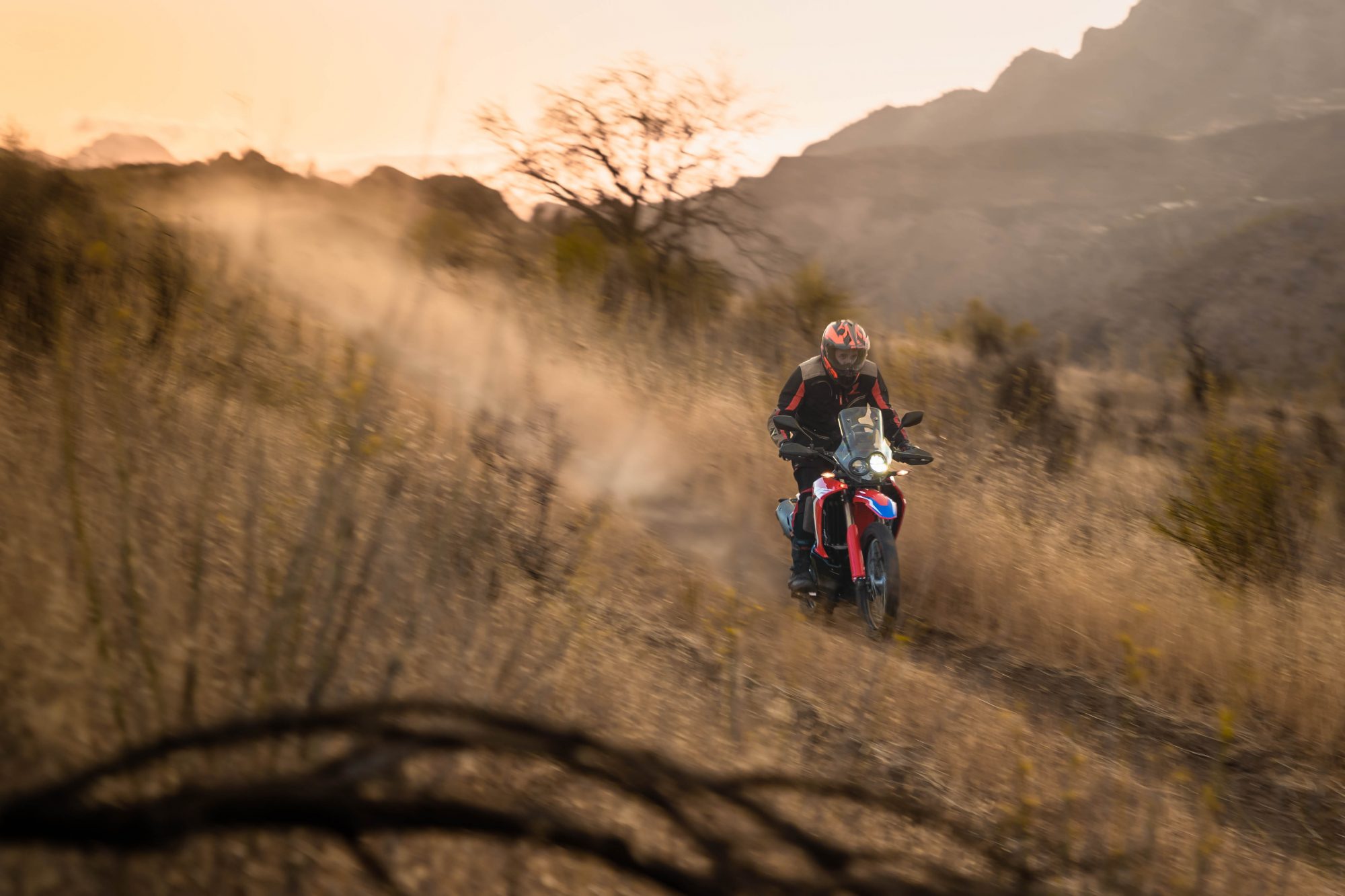 CRF 300 RALLY - Honda Moto
