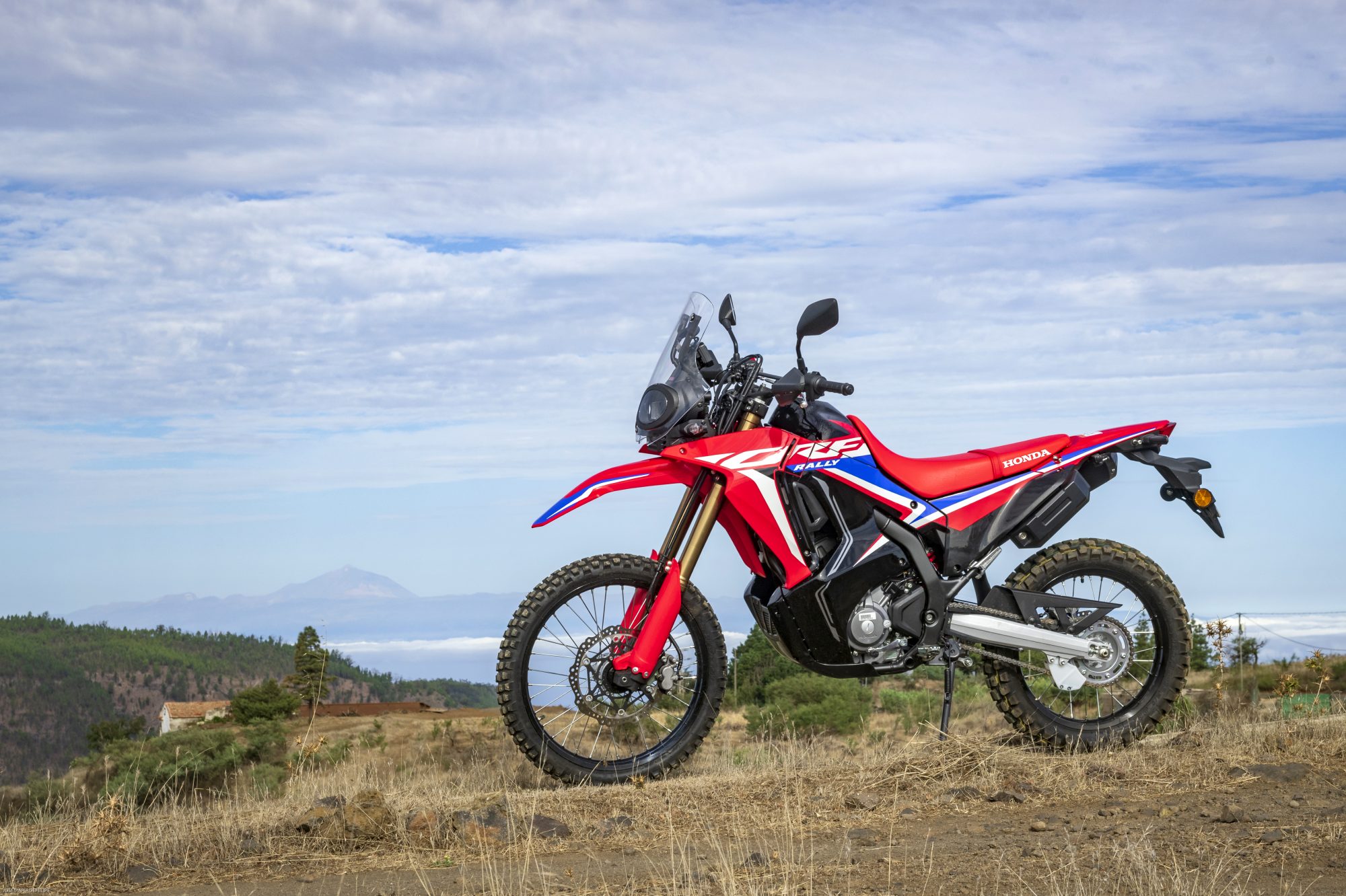 CRF 300 RALLY - Honda Moto